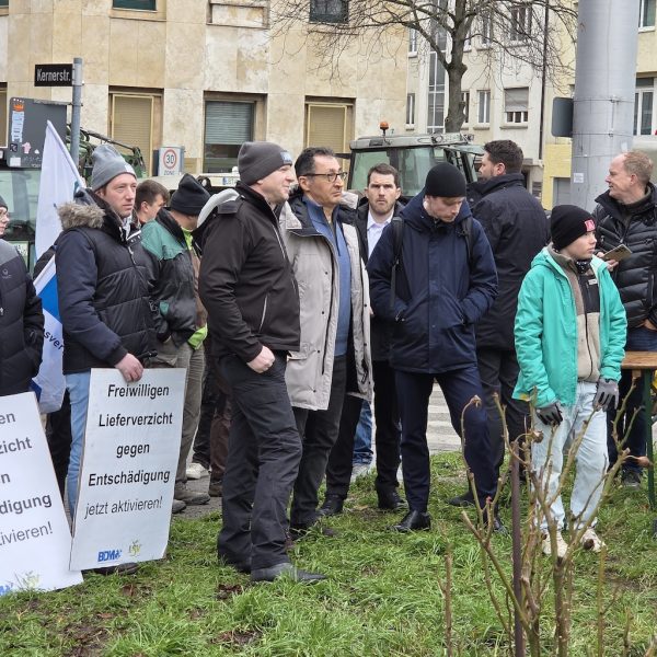 Märkte gestalten statt Krisen verwalten! - bdm-verband.org